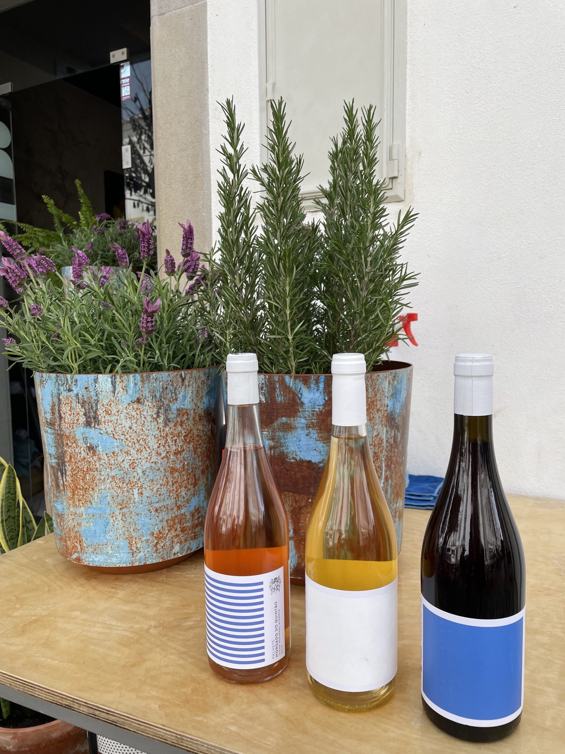 Bossa Tavira – Wine.CurlyHairGirl